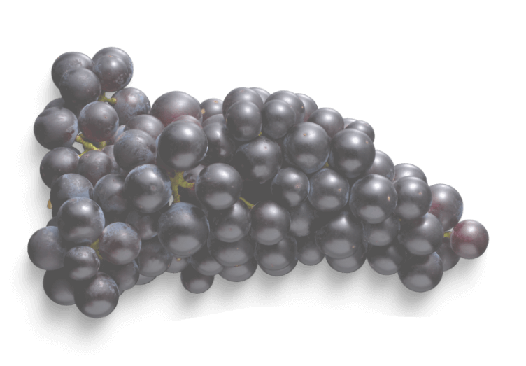 WINE HISTORY HITLIST - Come Over October